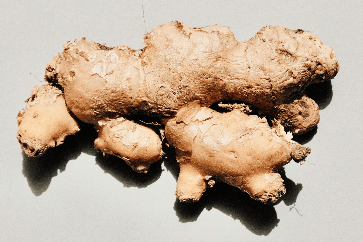 Ginger Root Extract – Jocko Fuel